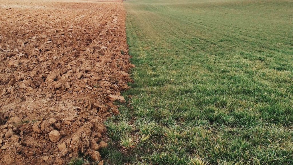 Restauración de Suelos - crozbiotech.com